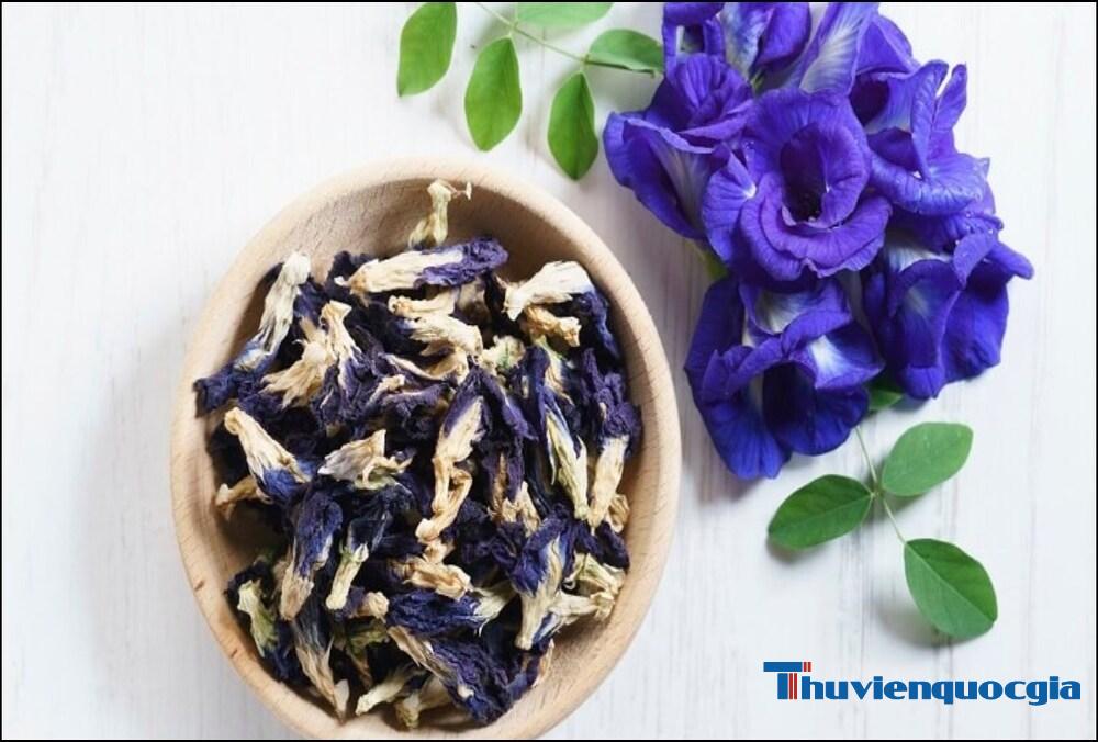Hoa đậu Biếc Tươi Và Khô Cái Nào Tốt Hơn